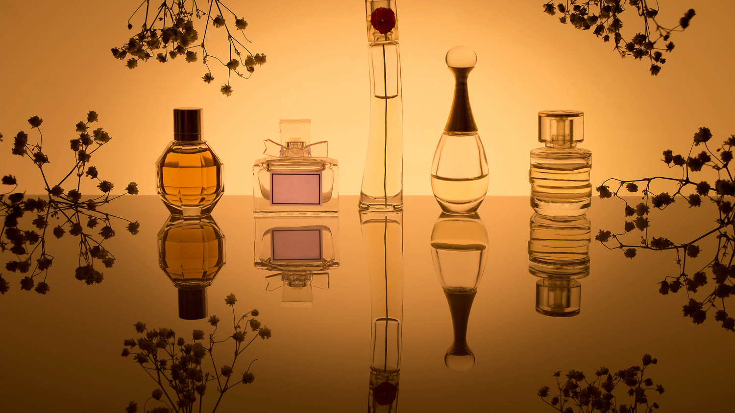 Perfume Types Explained – IB Sprays